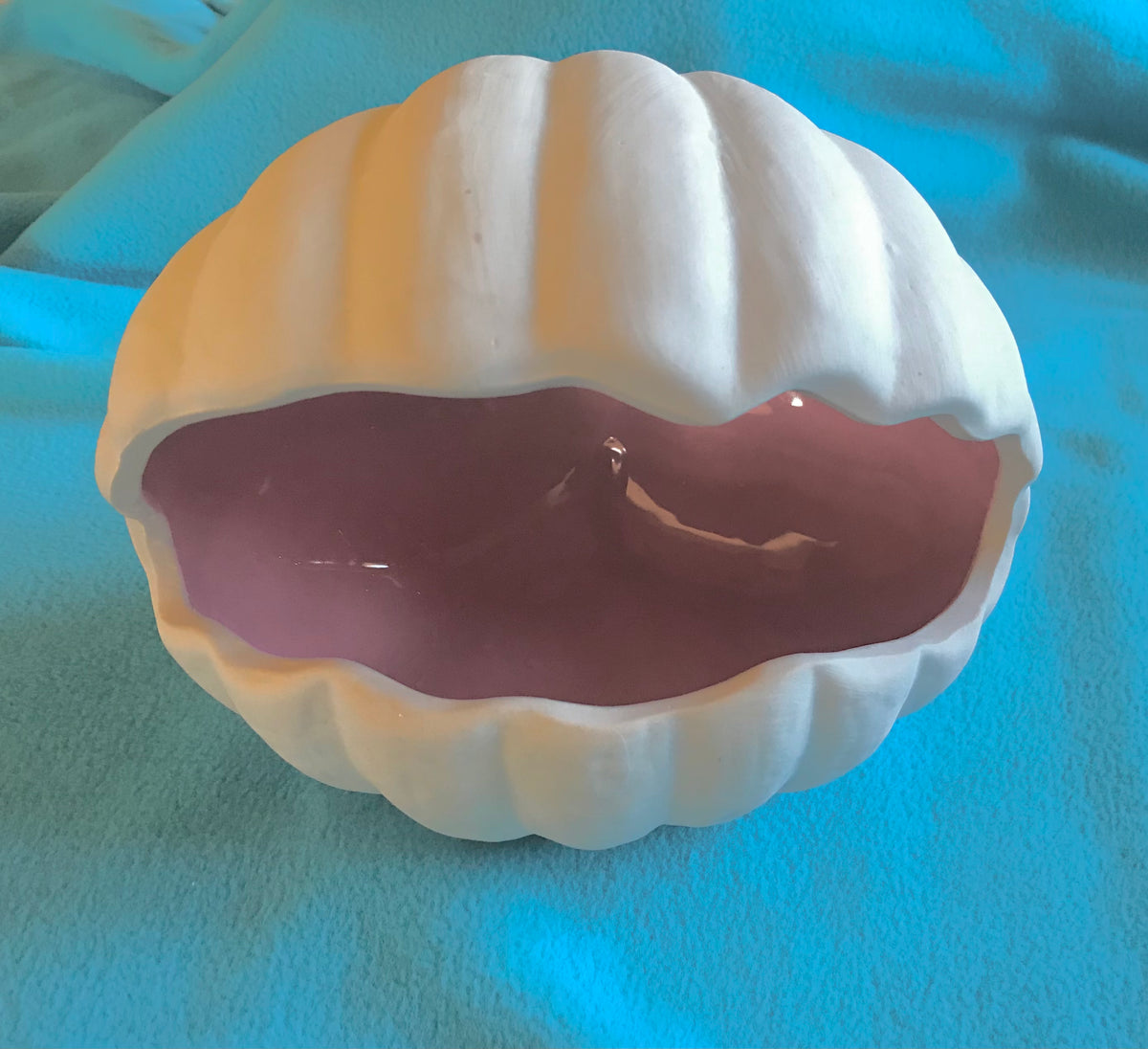 Clamshell - pink – Mr Wiggles Rat Supplies