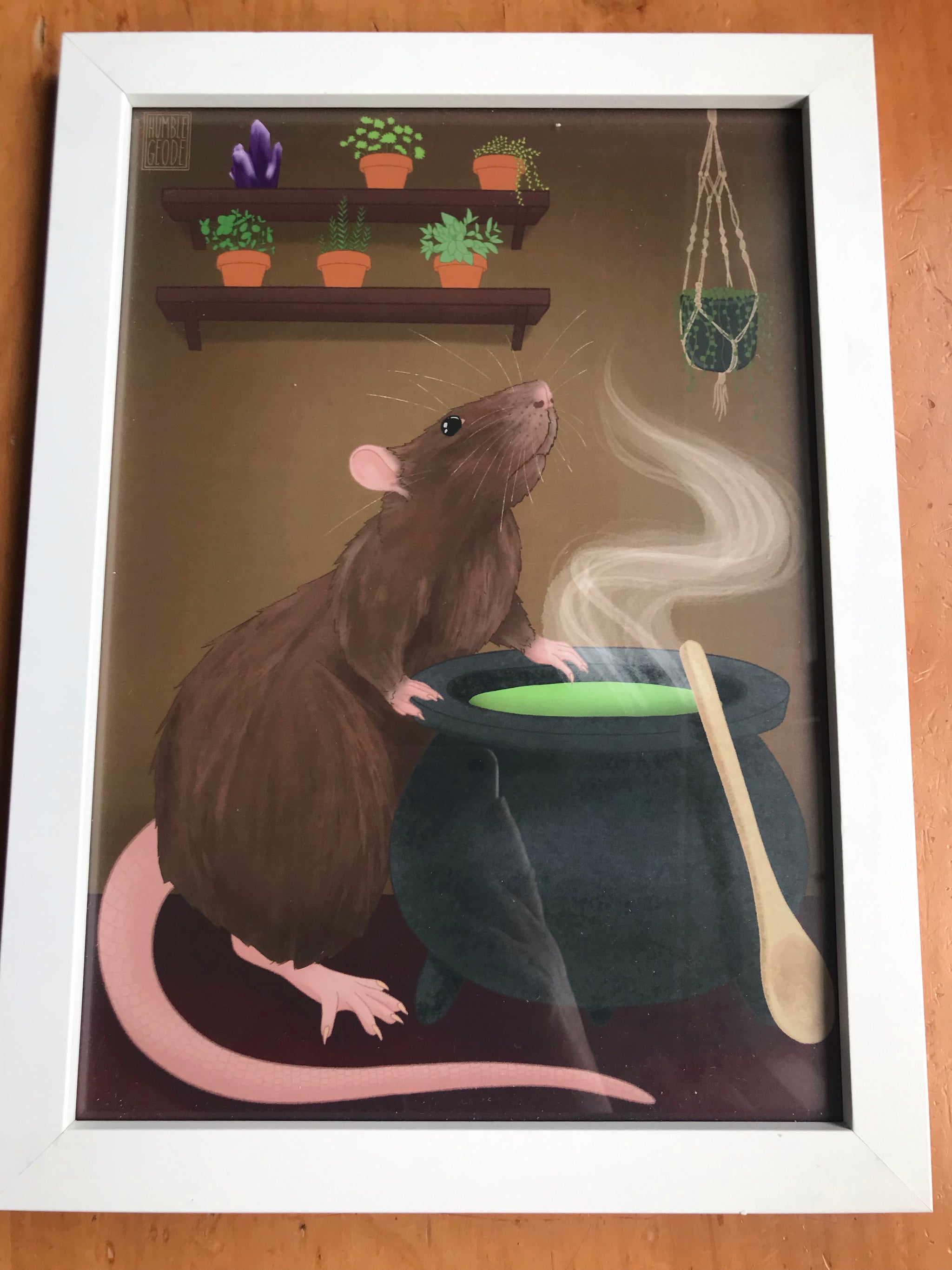 Rat stuff for humans – Mr Wiggles Rat Supplies