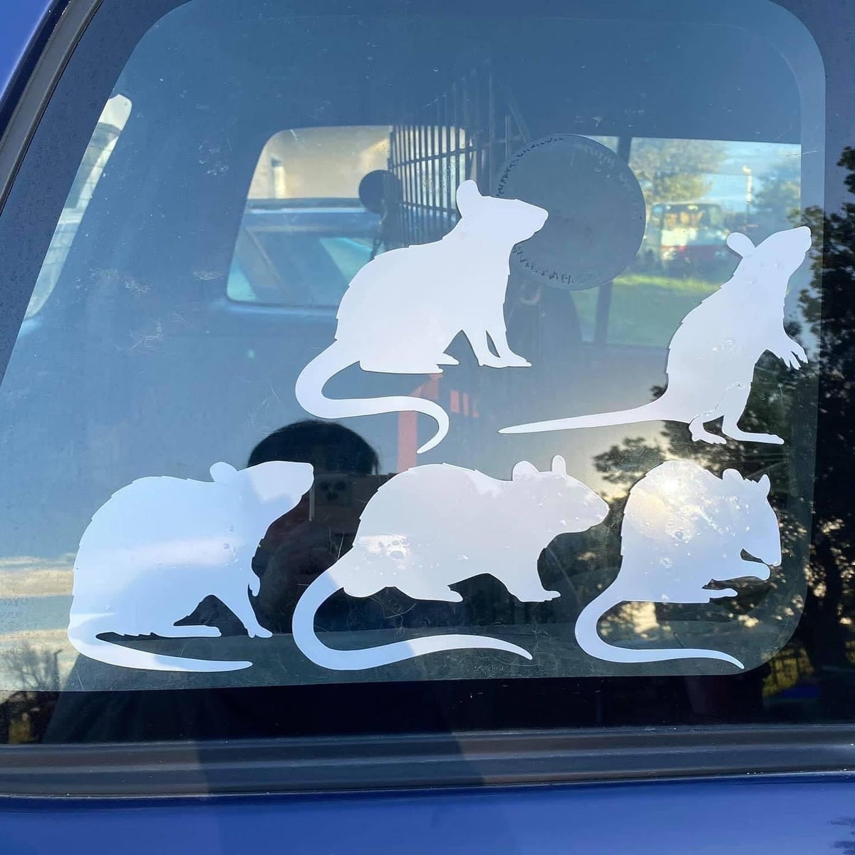 Car stickers - small – Mr Wiggles Rat Supplies
