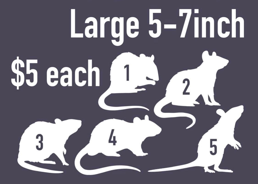 Rat stuff for humans – Mr Wiggles Rat Supplies