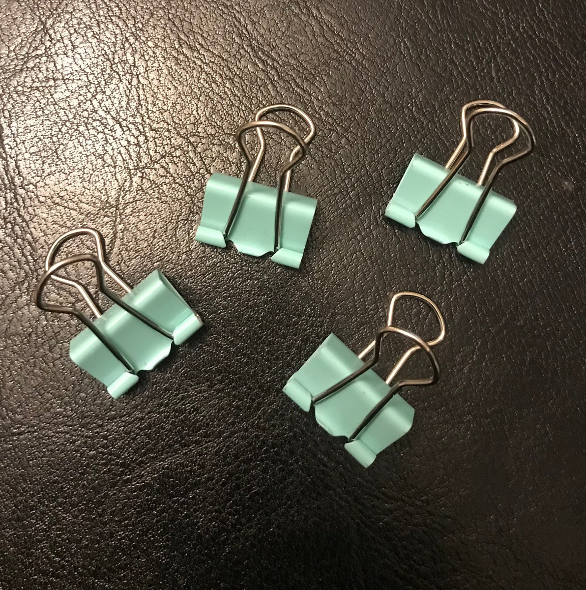 Shelf liner clips 19mm - mint (set of 4) – Mr Wiggles Rat Supplies